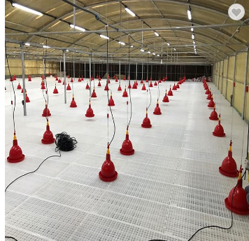 Chicken Plastic Dung Board Poultry Slat Flooring