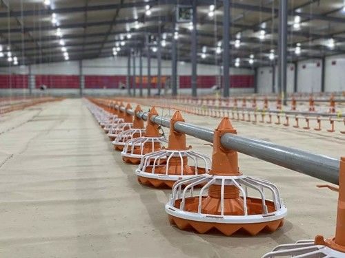 45mm Galvanized Steel Pipe Auger Feeder System For Poultry House