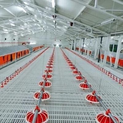 Poultry Slat Flooring factory, Buy good quality Poultry Slat Flooring ...