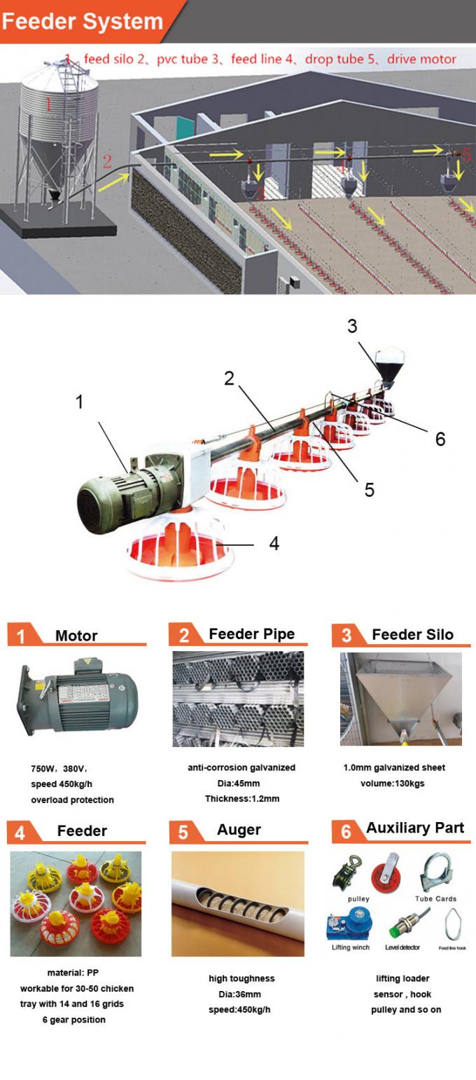 Hens Poultry Pipe Automatic Pan Feeding System