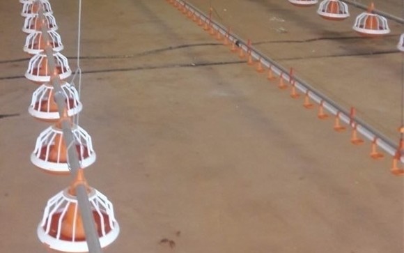 Electrical Environmentally Controlled Poultry House