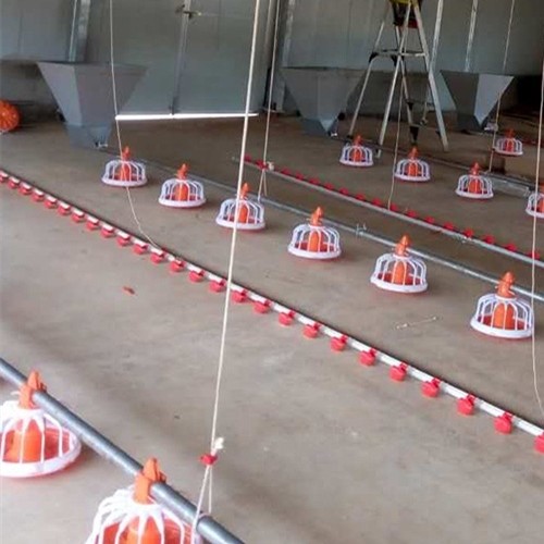 Linear Feeder Poultry Automatic Pan Feeding System