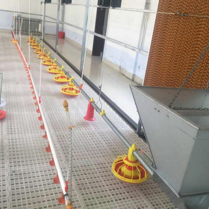 Linear Feeder Poultry Automatic Pan Feeding System