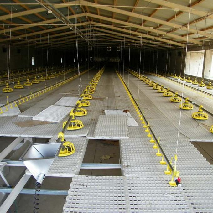 Linear Feeder Poultry Automatic Pan Feeding System