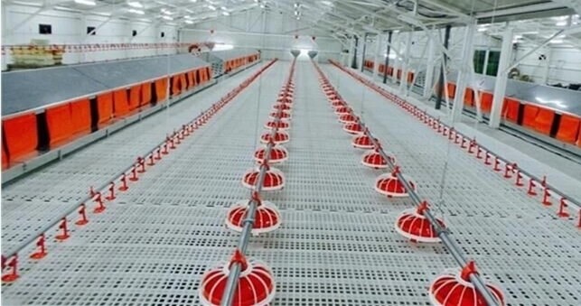 Durable Chicken Duckling Poultry Slat Flooring